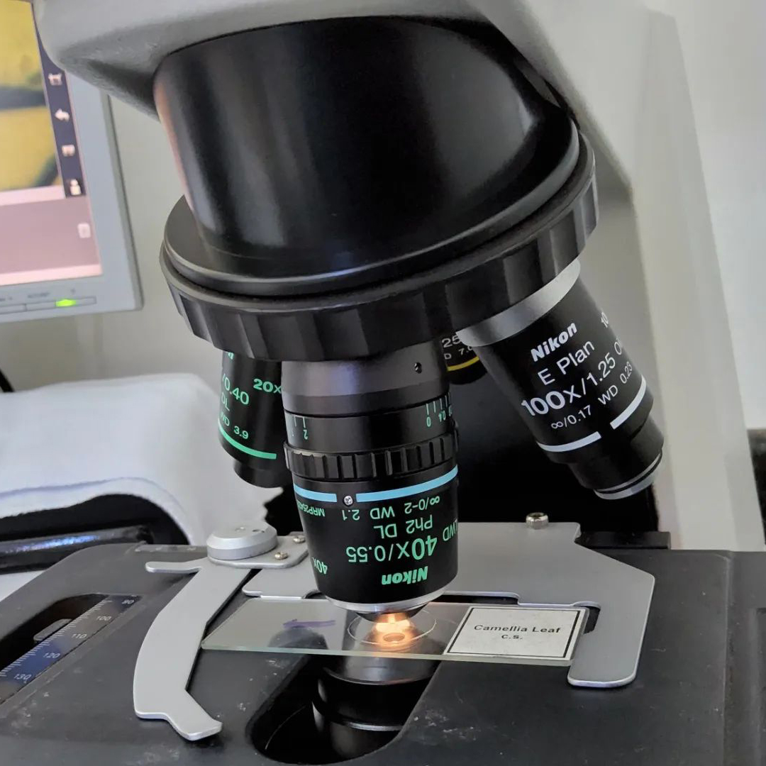 Componentes do Microscópio: Guia Completo das Partes e Suas Funções