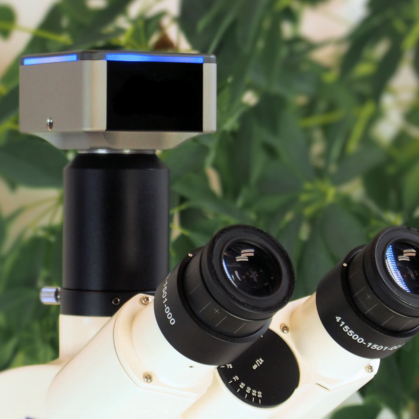 Como Conectar uma Câmera ao Microscópio?